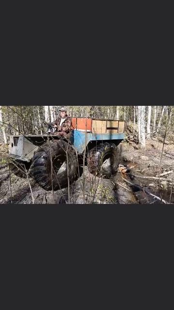 Каракат Вепрь.