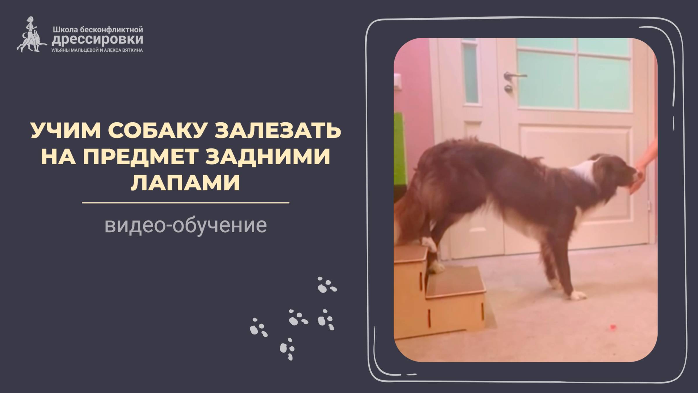 Трюк "Учимся зализать задними лапами на предмет"