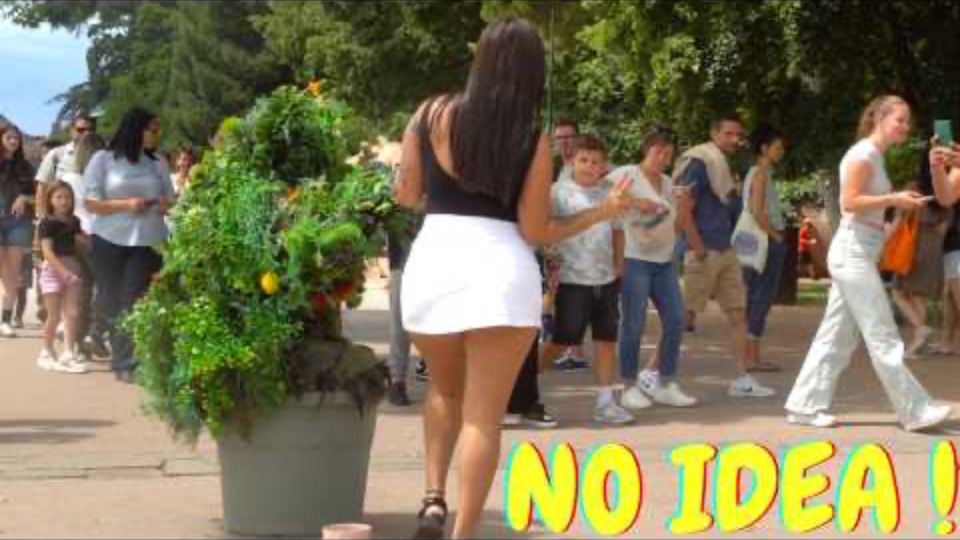 BEST OF BUSHMAN SUMMER 2025!!