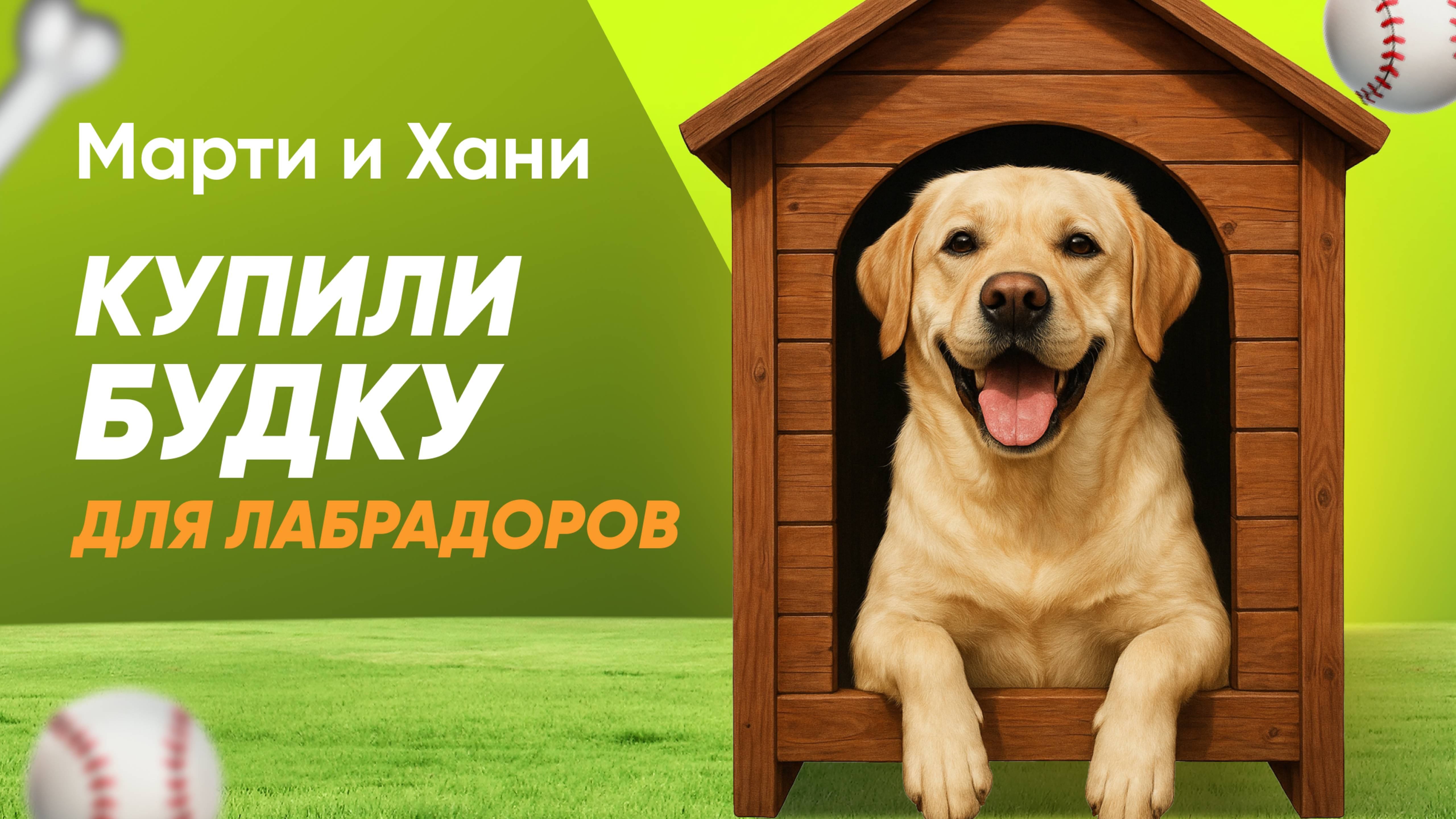 КУПИЛИ БУДКУ ДЛЯ СОБАК / ВЫГНАЛИ ЛАБРАДОРОВ ЖИТЬ НА УЛИЦУ? / ЗАЧЕМ КУПИЛИ БУДКУ И ГДЕ НАШЛИ?