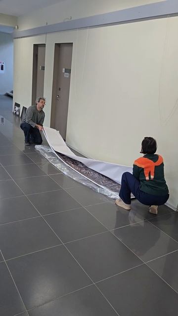 Распаковка изображения барельефа для выставки