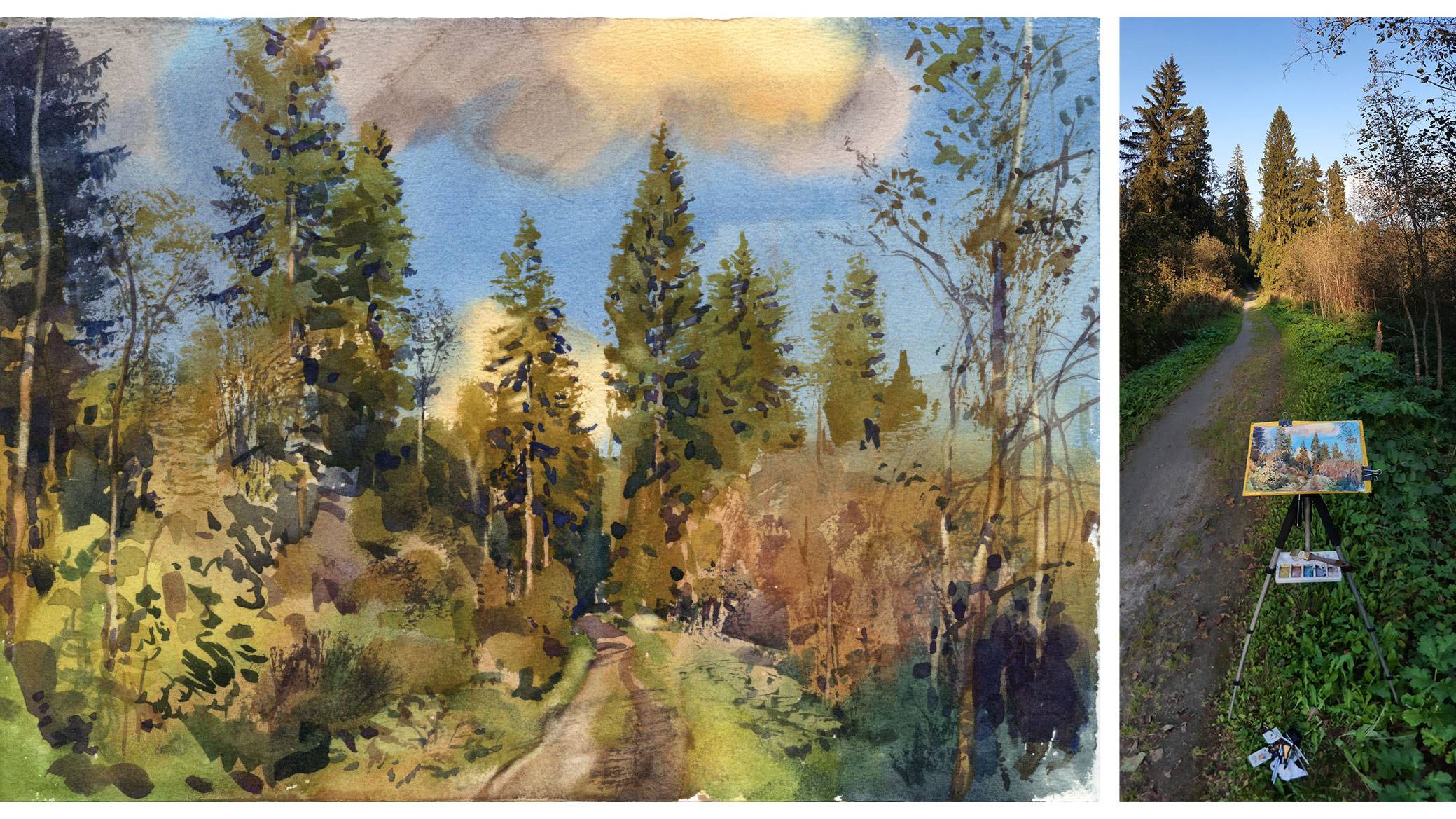 20240917 Зеленоградский лес. Пленэр Акварель