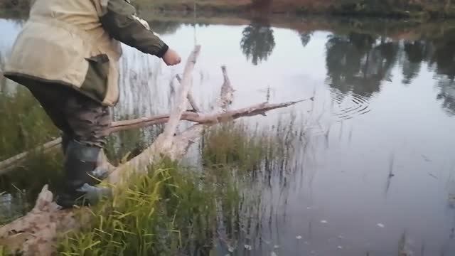 РЫБАЛКА вечерком! КАРП  ушёл в КОРЯГУ!