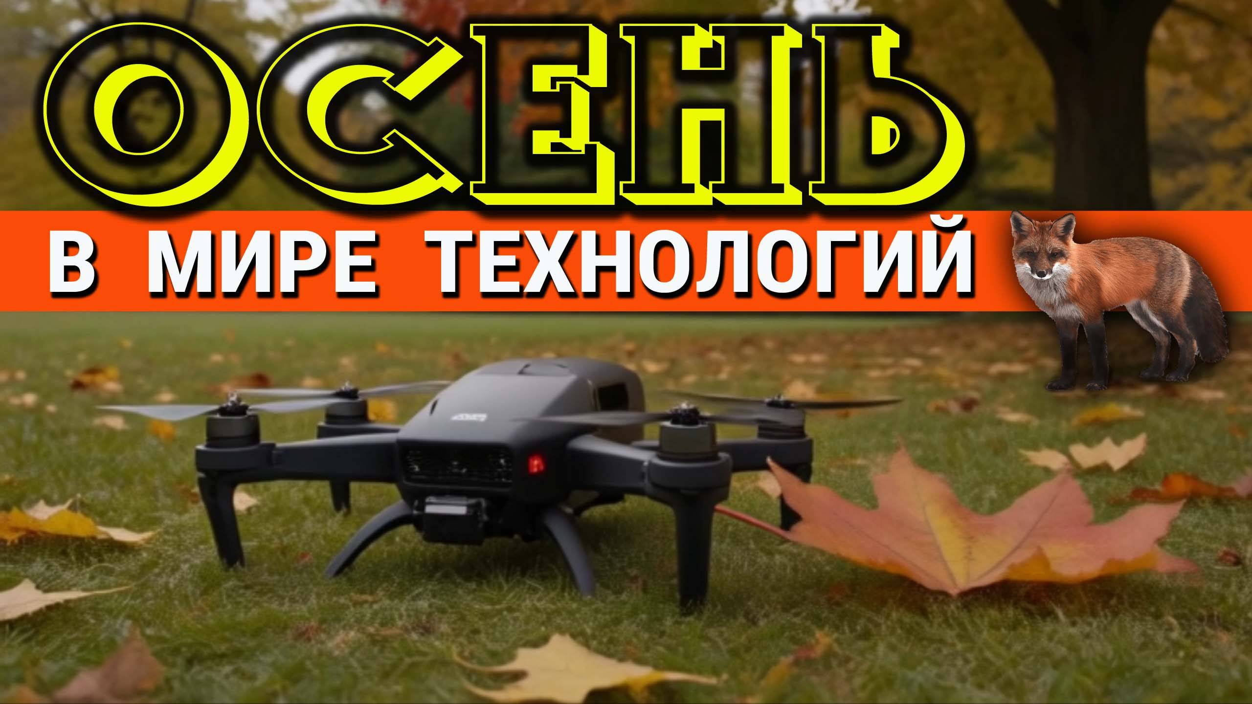 Осень в Мире технологий. Какие современные технологии можно увидеть в осеннем парке