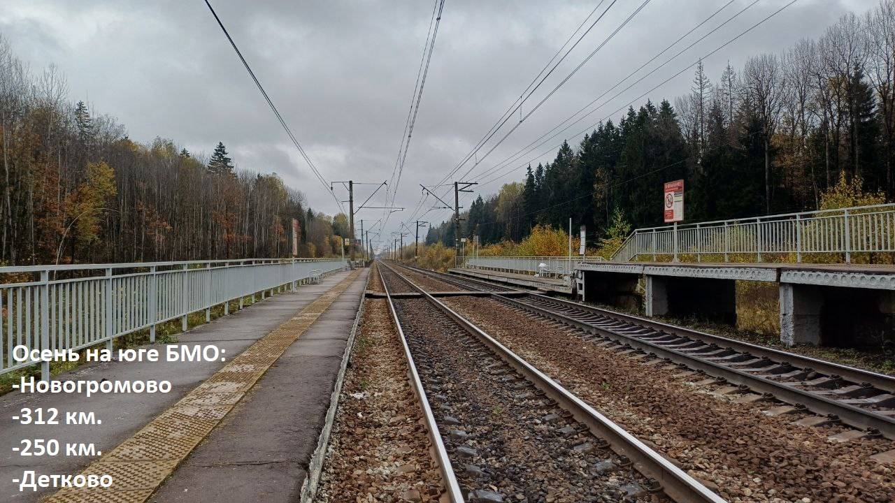 Осенняя подборка поездов на юге БМО (сентябрь-октябрь 2025)