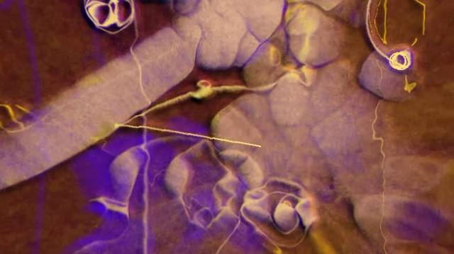 Soarsweep - Losing Rays (Original Mix)