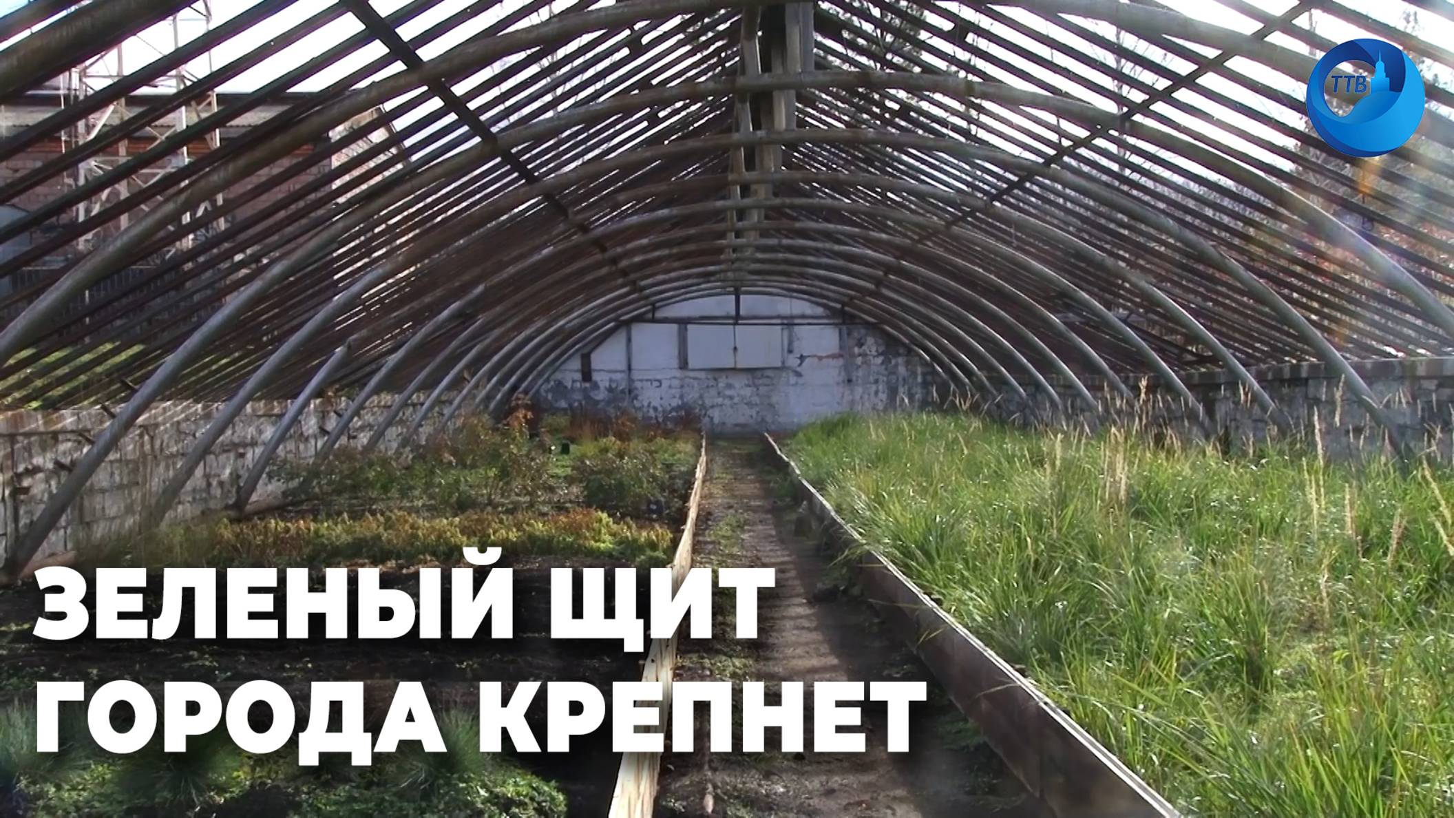 Зелёный щит города крепнет