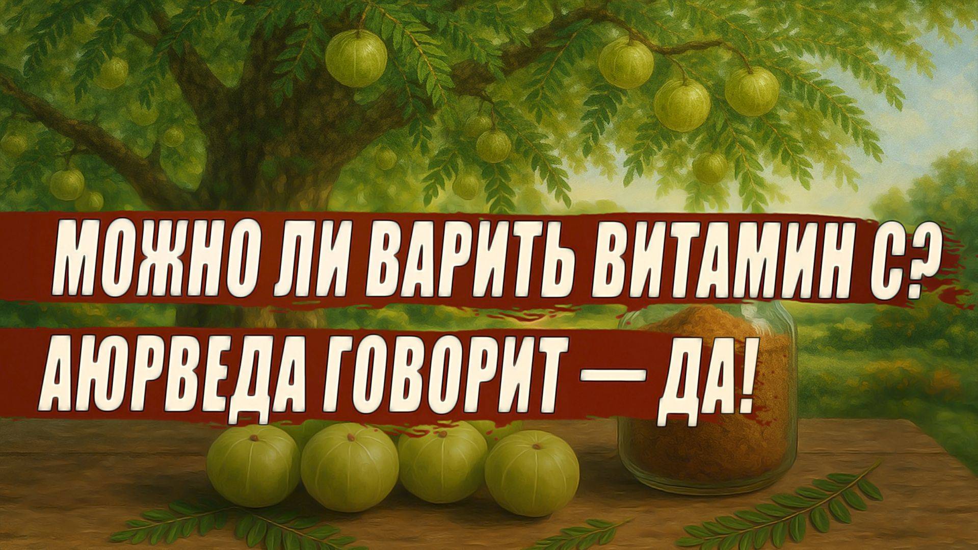 АМЛА — ВИТАМИН С, КОТОРЫЙ МОЖНО ВАРИТЬ | Аюрведа и сила природы