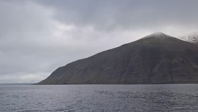 Закрываем сезон  рыбалки на тунца, Итуруп 2025