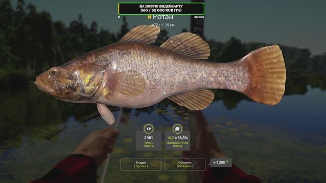 РР4 Комариное. Ротан.