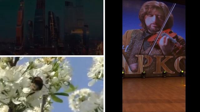 Скрипач-виртуоз Вардан Маркос - "Полет шмеля" Н.А.Римский-Корсаков