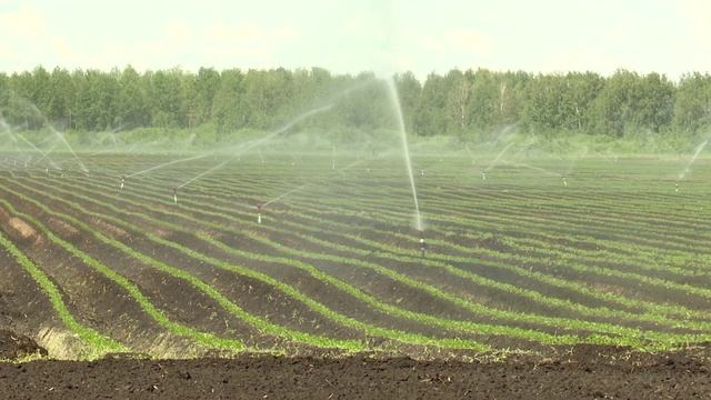 Ваш депутат № 604