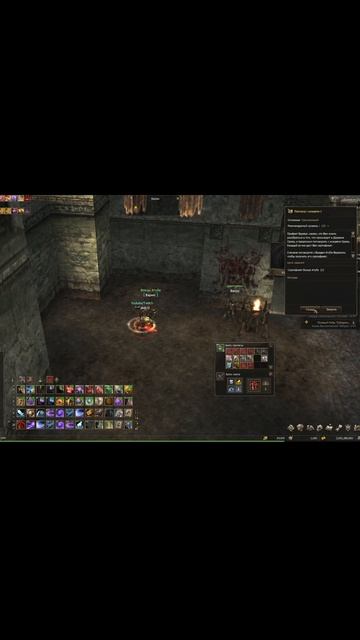 Lineage 2 Main Спасение Пленников Орков #lineage2 #games #twitch #l2