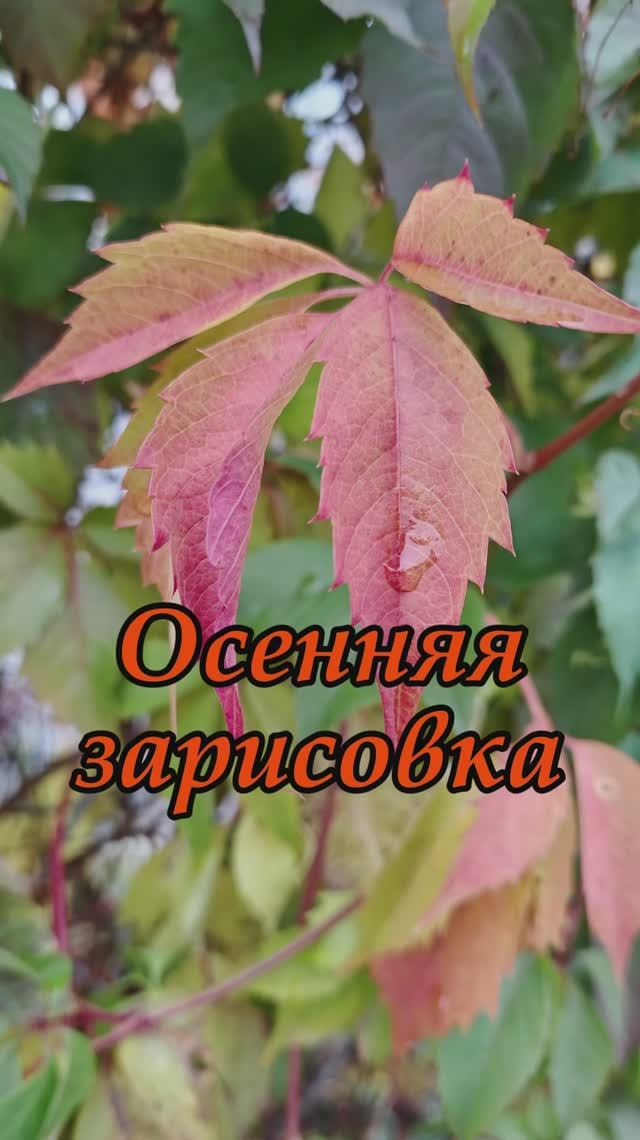 Осенняя зарисовка