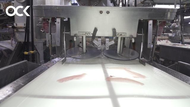 Итоговое видео участия ОСК в выставке «Нева-2025»