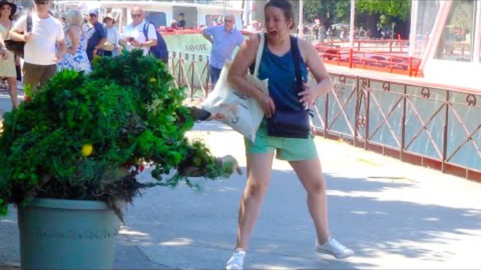 BUSHMAN PRANK (This Is Why You Don’t Trust Bushes Anymore 😂🌿”)