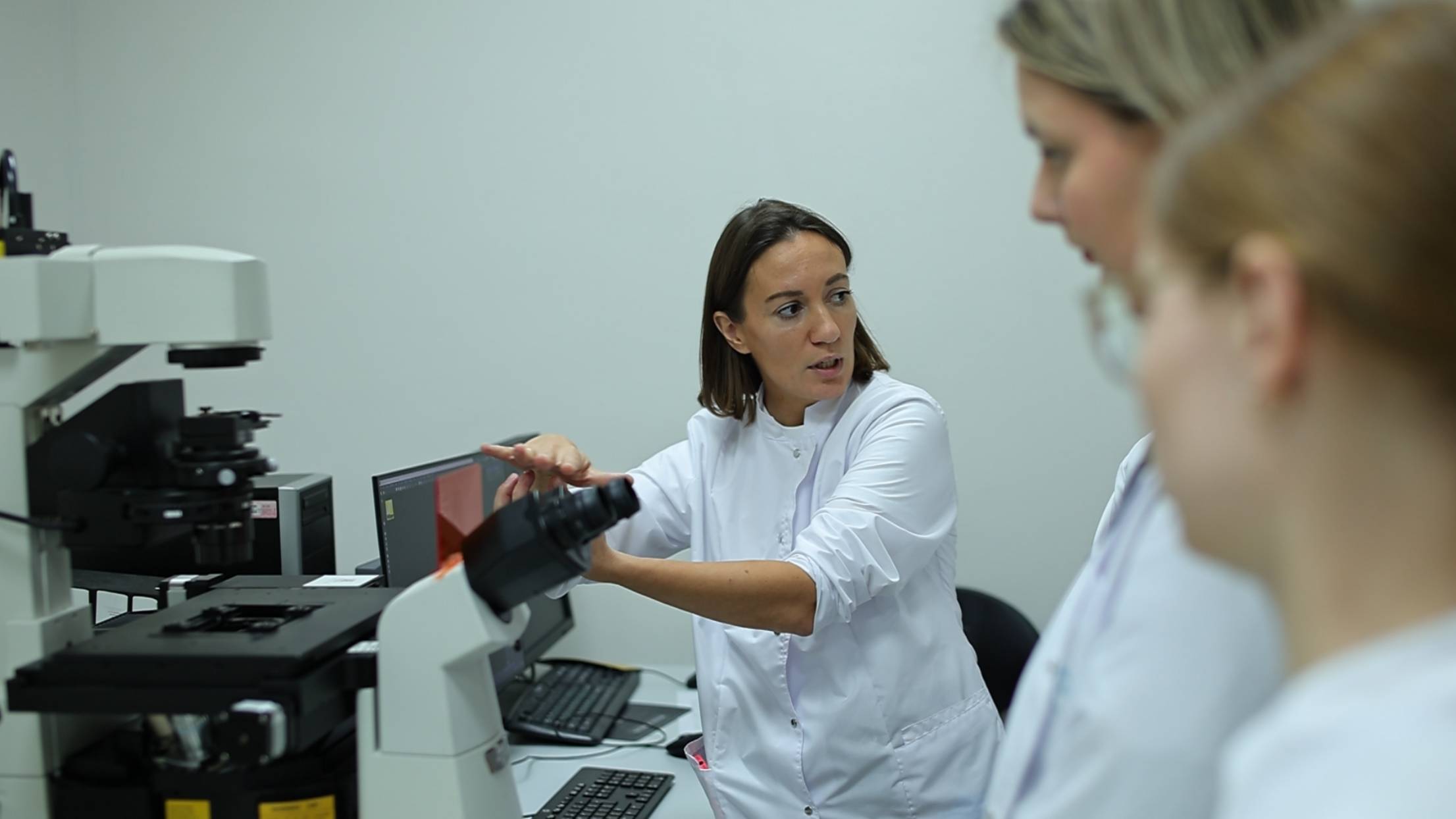 Мастер-класс «Жизнь клетки под микроскопом»