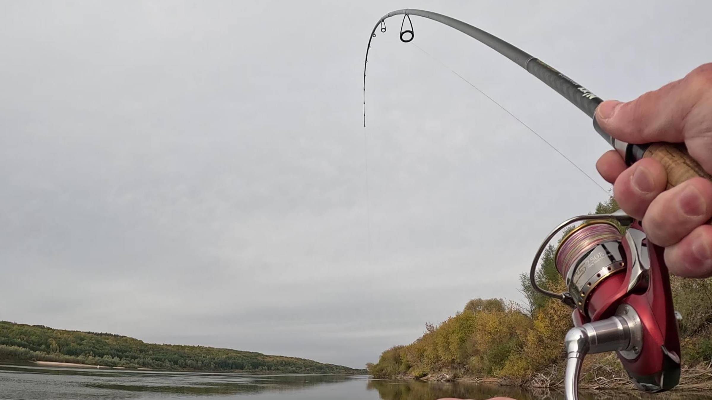 Джиг-Провокатор ловит Осенних Трофеев! Рыбалка на Оке 2025 Осень! Дмитрий Карпов