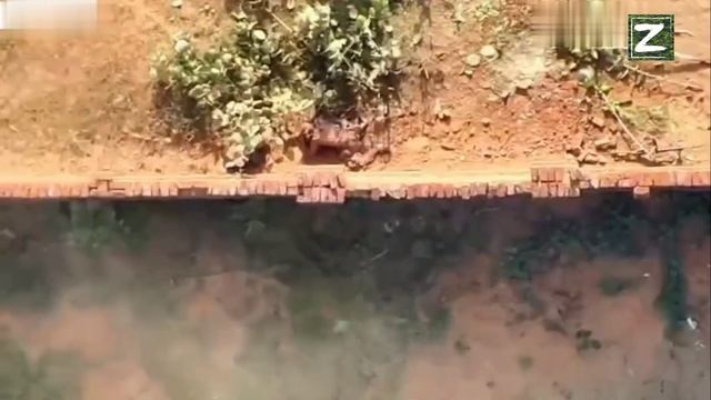 Африканский корпус МО РФ охотится на Игил