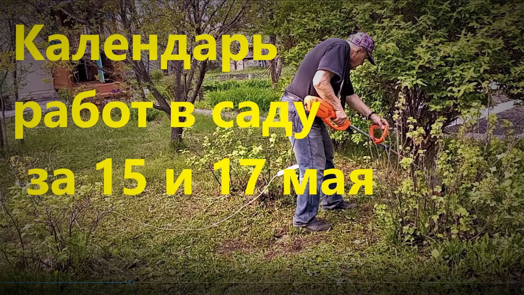 Календарь работ в саду за 15 и 17 мая.