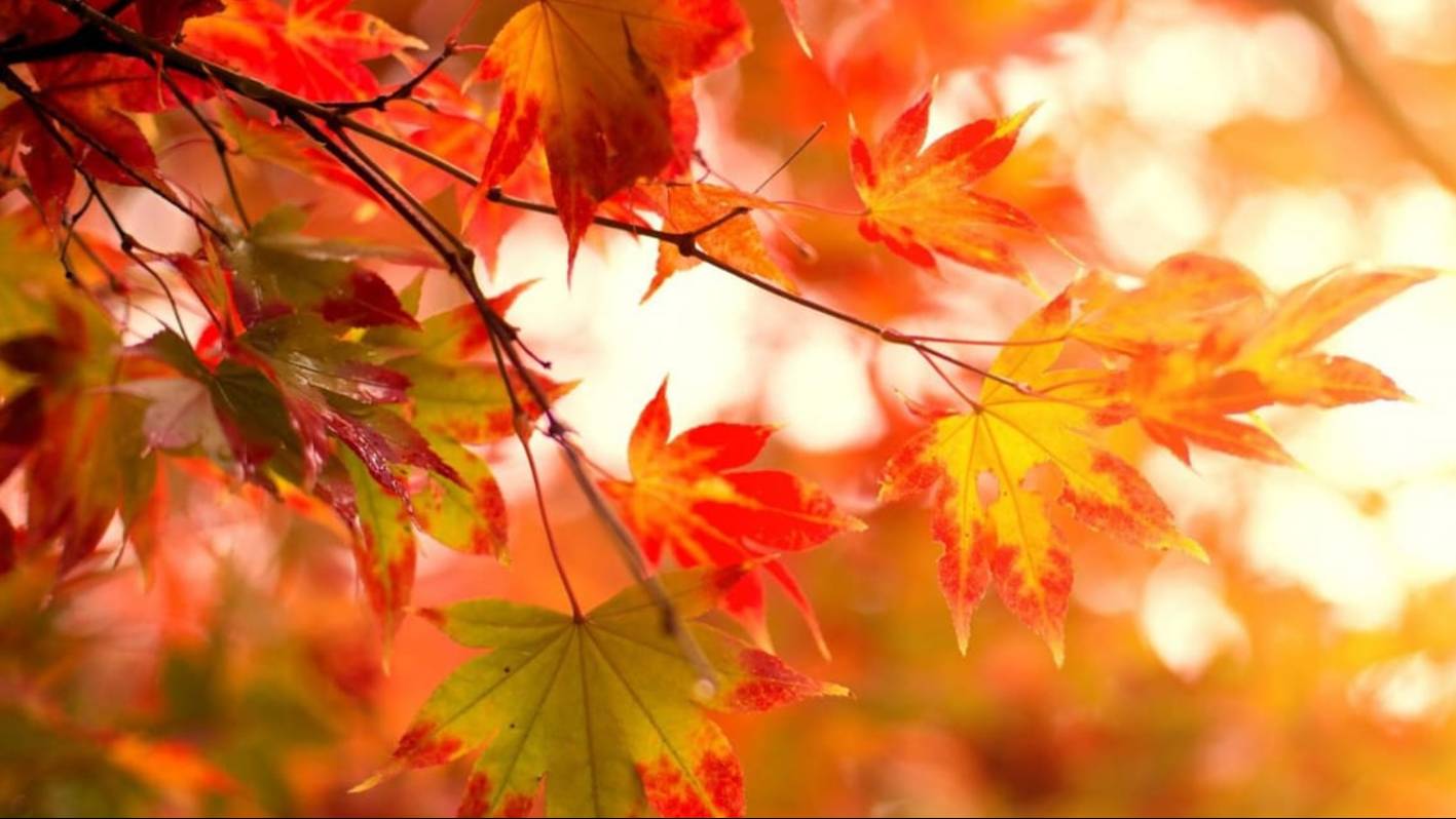 7. После отпуска часть 2