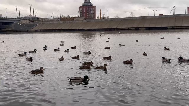 Йошкар-Ола недорогой туризм