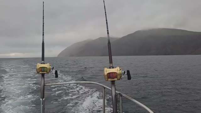 Октябрь 2025 года на Итурупе, закрываем сезон рыбалки на тунца