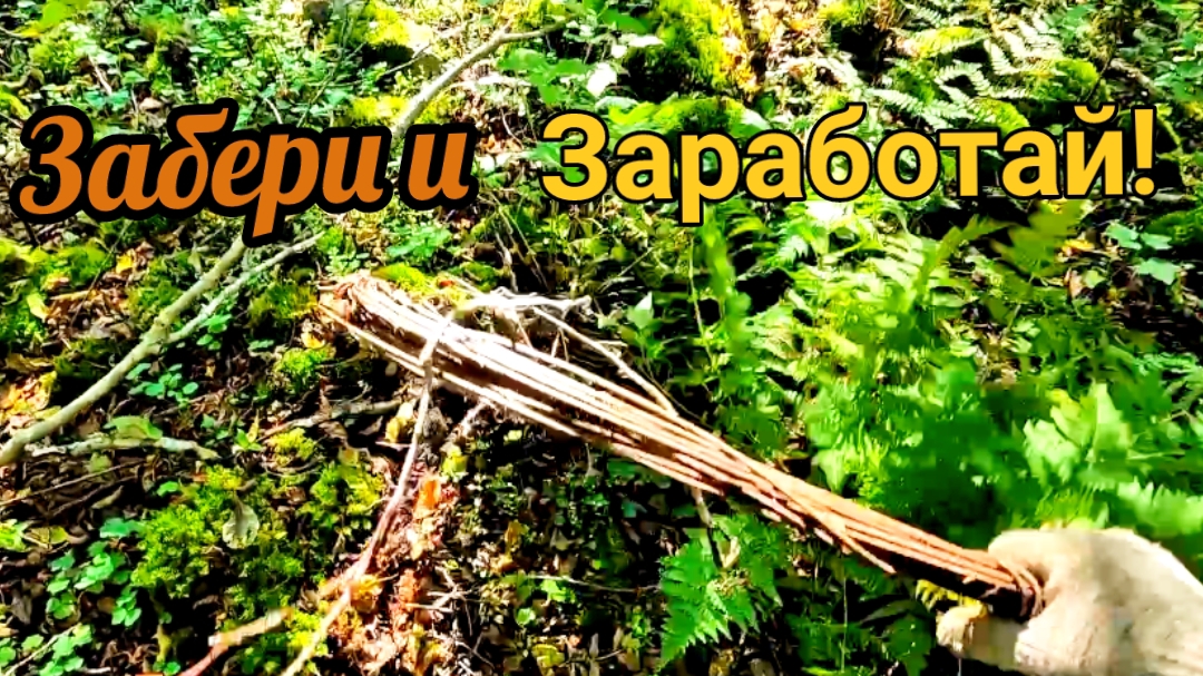 Этот металл лежит у всех на глазах,  просто забери его! коп металлолома