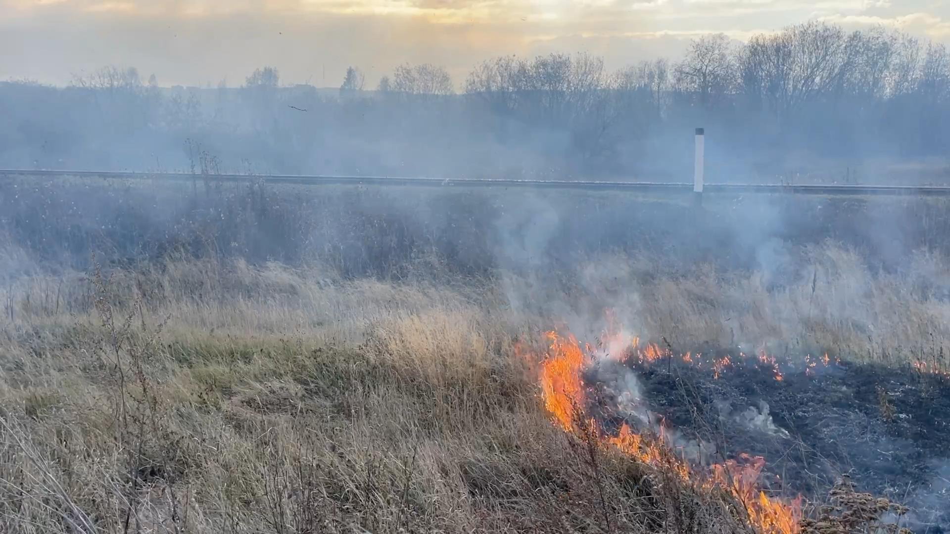 В Иркутске начались контролируемые отжиги сухой травы