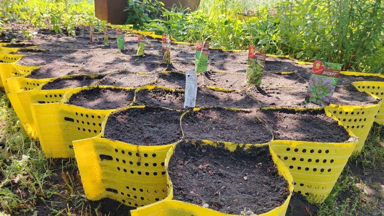 Как примененить георешетку на даче, на участке, на огороде