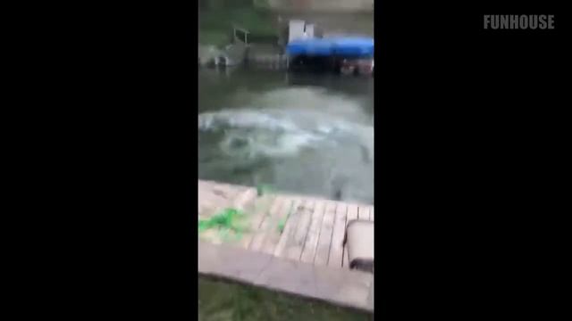 Fun #99 | Funhouse, fails | Неудачи, приколы, смешные видео
