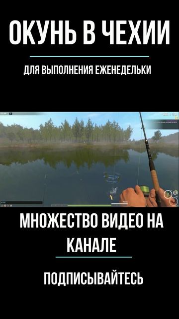 Окунь в Чехии Точка лова для выполнения еженедельки.  The Fisher Online