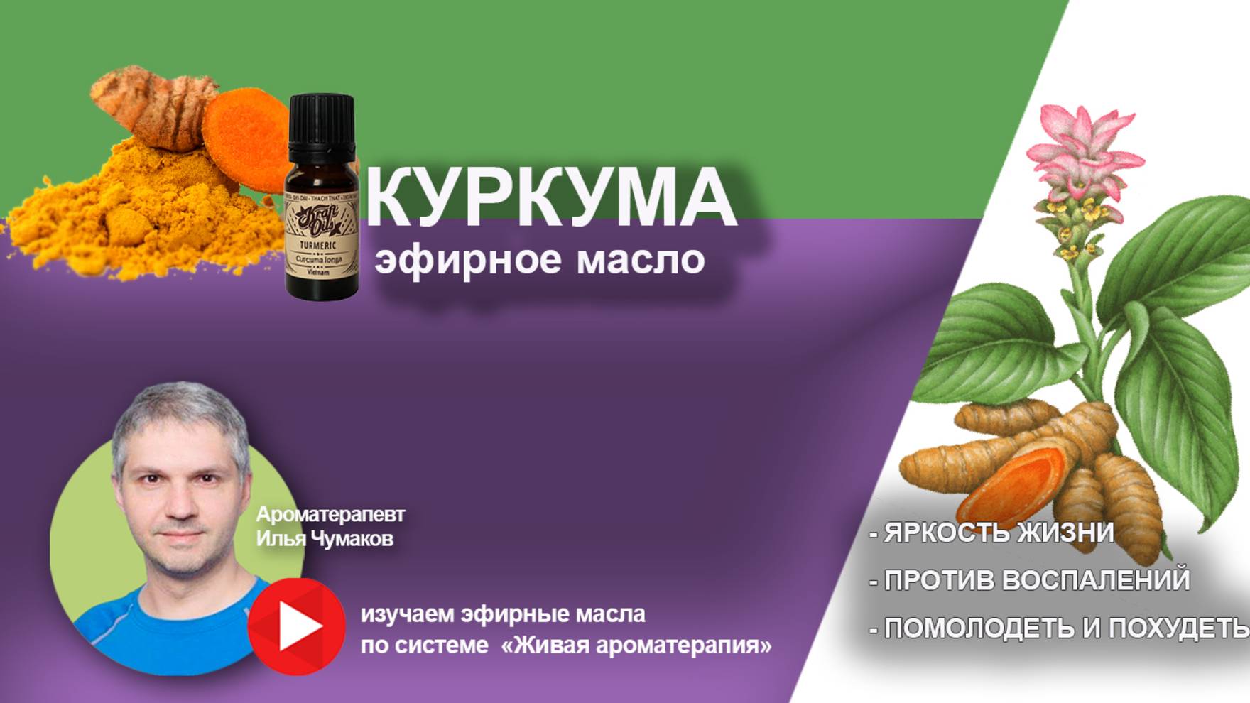 Куркума эфирное масло и его компоненты - свойства и действие на организм