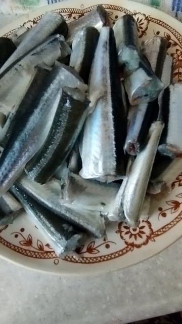 А у нас сегодня на ужин рыба сарган. Октябрь.