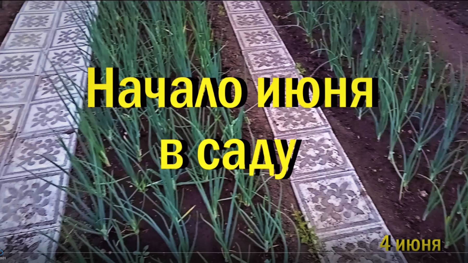 Календарь работ в саду за 4 и 9 июня