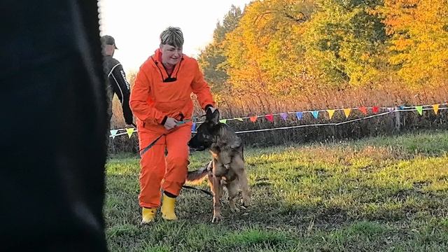 3.  выражено/перв БАЛАРИС ЧУДЬ (Баларис Цзянь – Баларис Чайка 2)