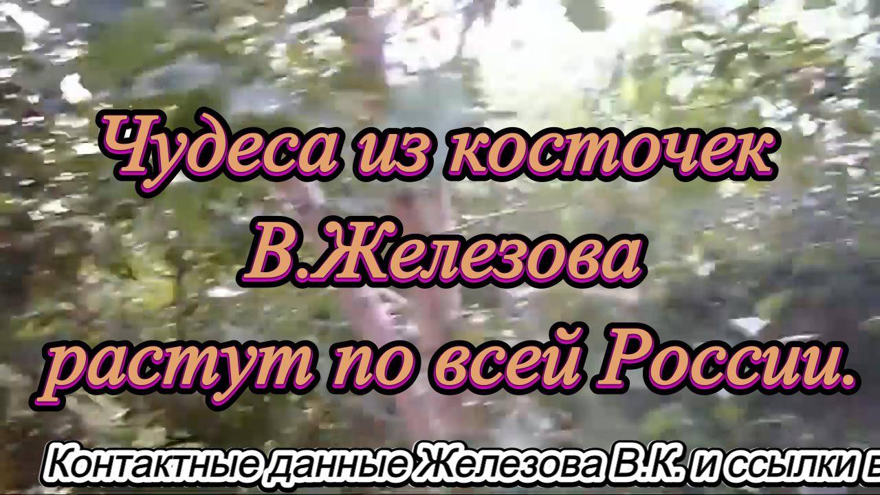 Чудеса из косточек В.Железова растут по всей России.