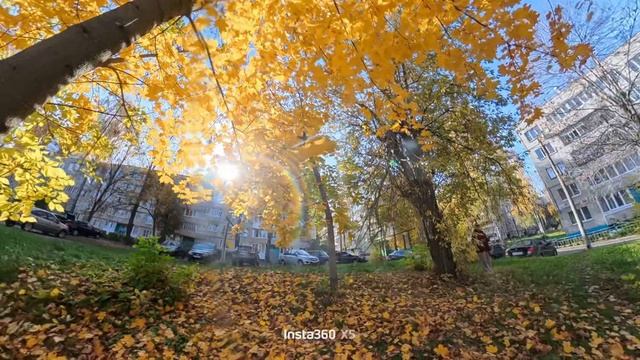 Осенний листопад. Осень 2025