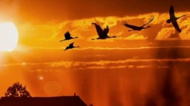 Ой, занялась рябина Валентина Рублева Автор видео Нина Рудакова