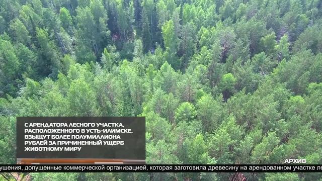 Новости ИРТ 22-10-2025