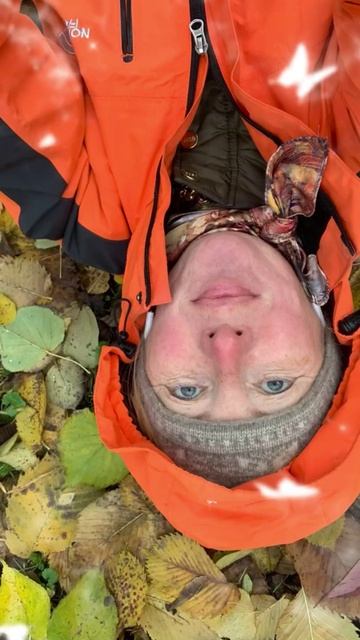 Ссылка на трансляцию лоскутного клуба https://start.bizon365.ru/room/quiltlada/test