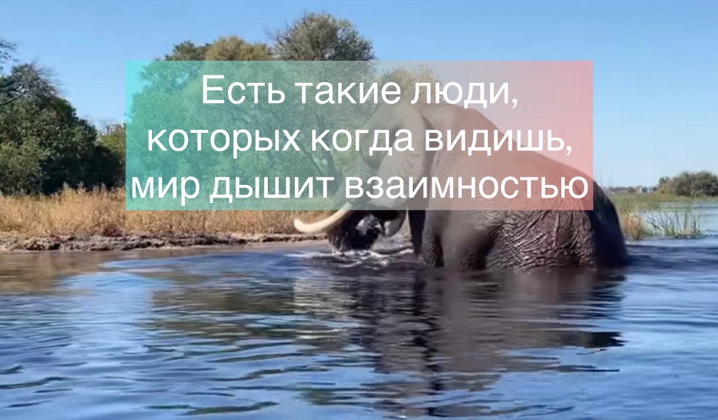 Как он на счет свой воспринимает беседы