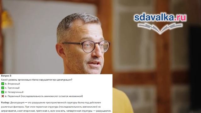 Биология 9 класс. Урок 1. Тест 2. Химический состав клетки. Бесплатная подготовка к ОГЭ Sdavalka.Ru