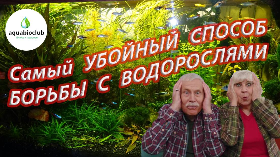 Самый убойный способ  борьбы против водорослей.