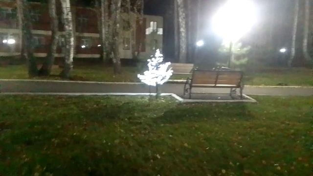 Лисичка в гости к нам пришла/ Санаторий " Доволенский"/ Новосибирская область/22.10.2025🦊