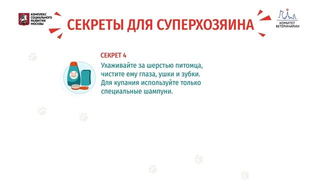 Основные правила для владельцев животных