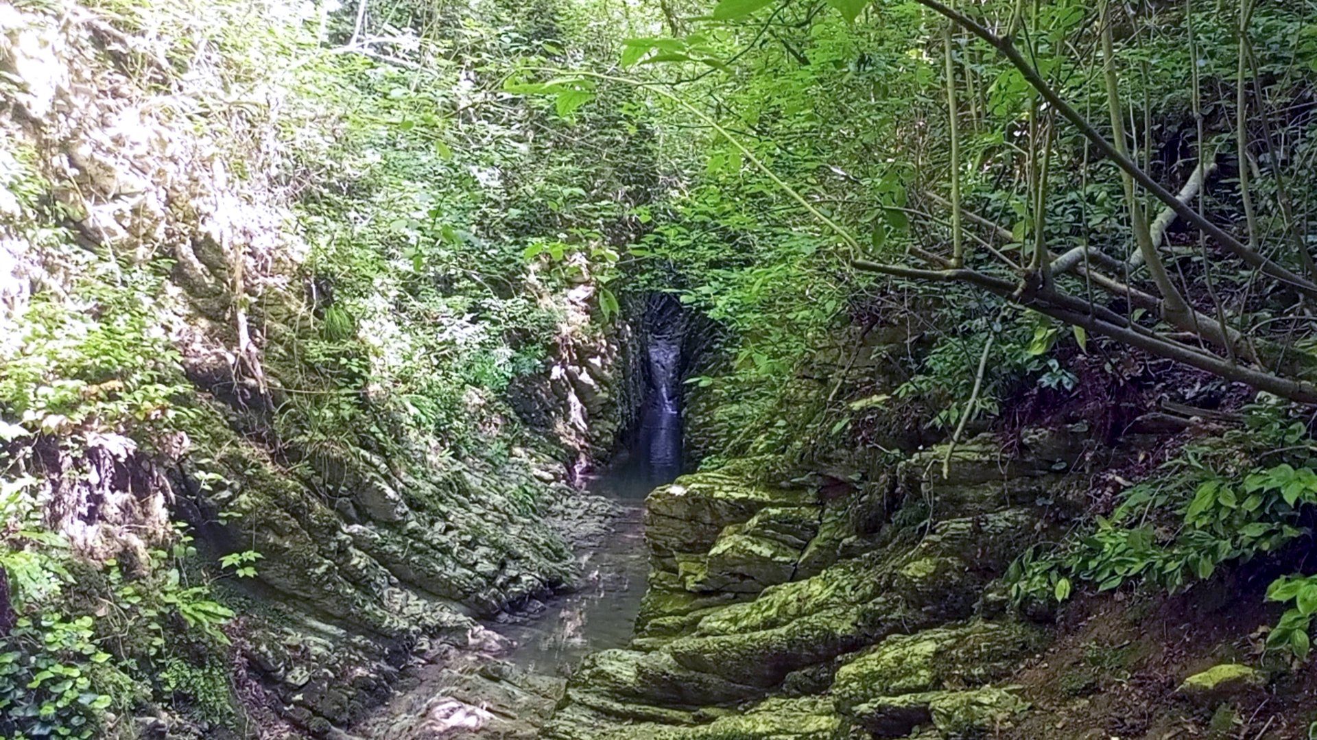 Свирское и Крабовое ущелья в Лазаревском