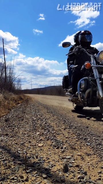 Ну, вот так😄 #tiktok #shorts #art #lizbet #творчество