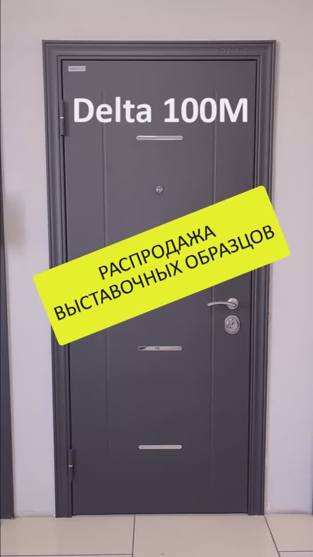 Входная дверь Torex DELTA 100M