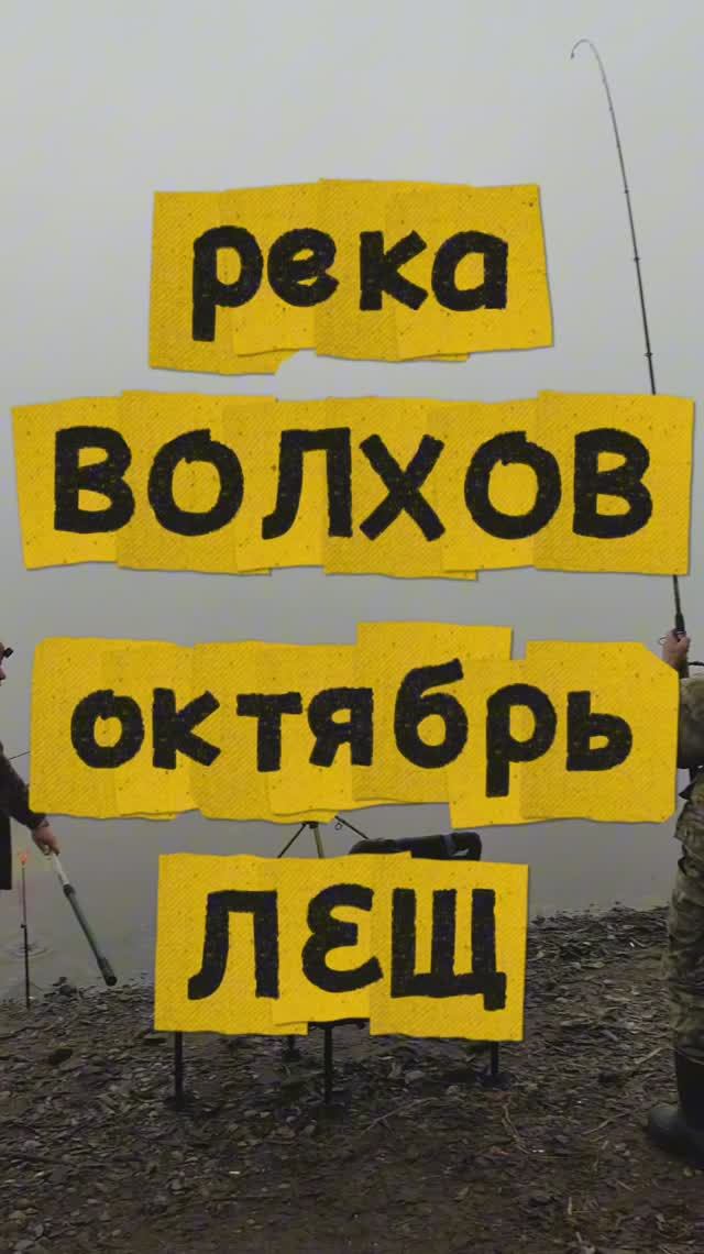 Река ВОЛХОВ осень ЛЕЩ